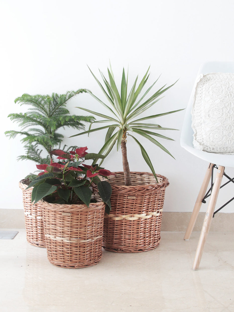 Wicker Baskets